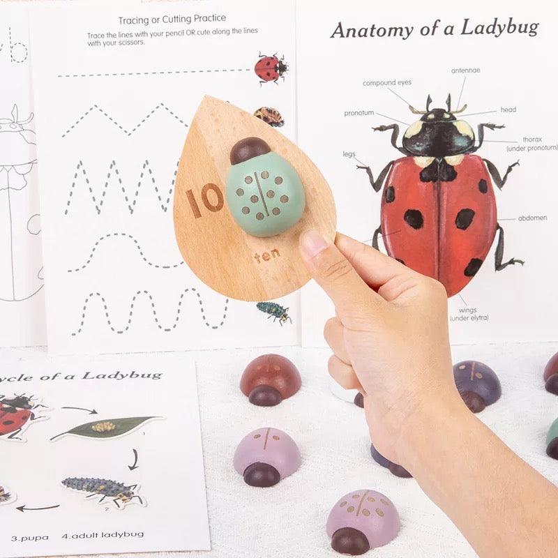Montessori Wooden Maths Learning | Ladybug Study – Melli's Kids